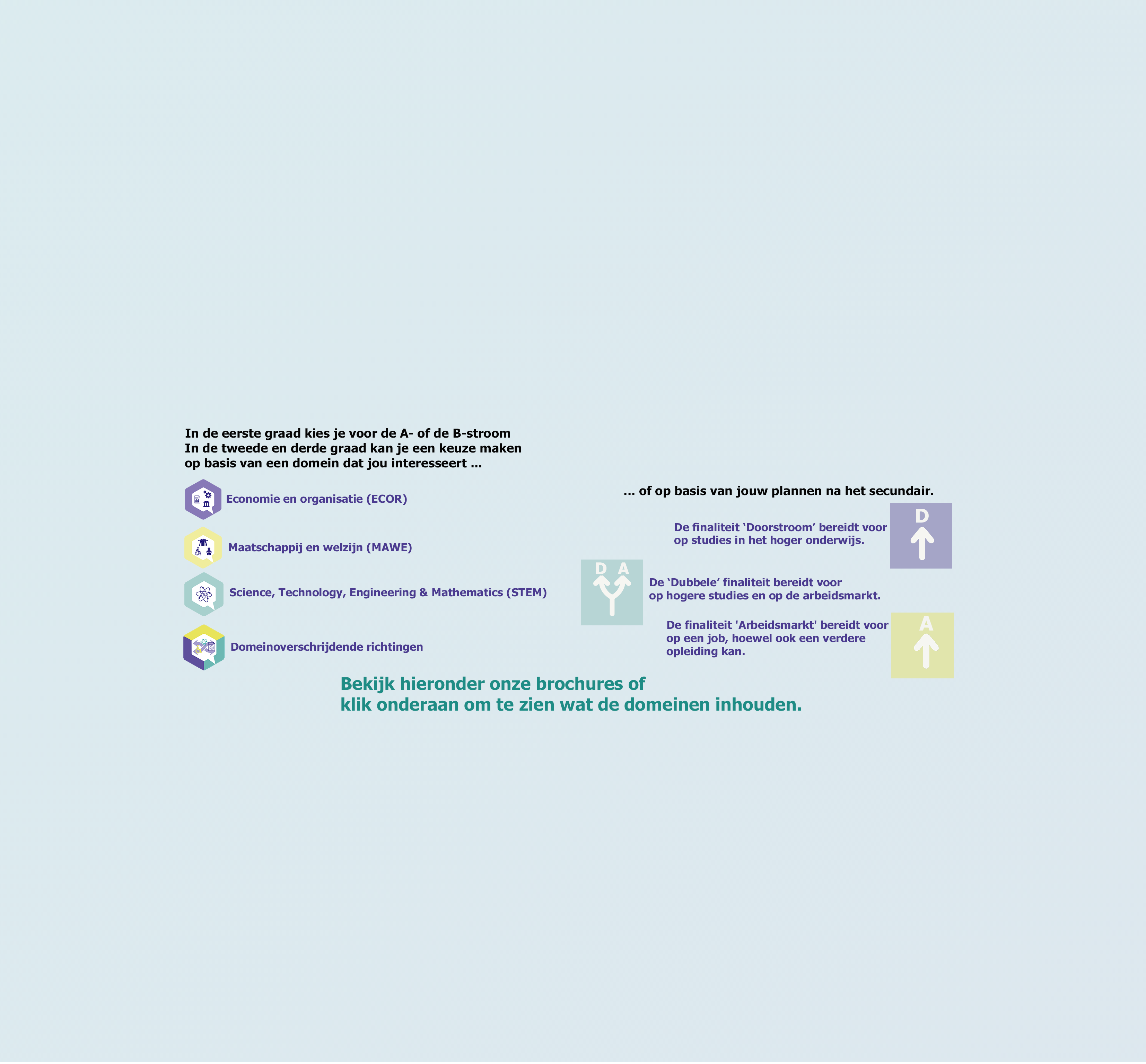 Studieaanbod-overzicht